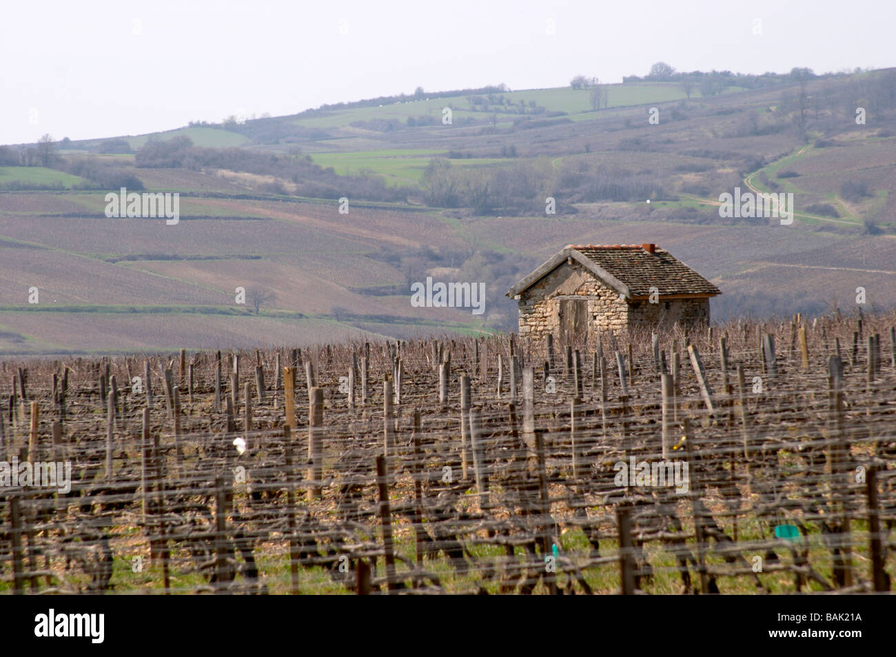 Iron cot hi-res stock photography and images - Alamy