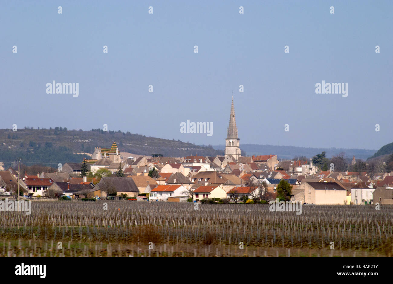 vineyard village meursault cote de beaune burgundy france Stock Photo ...