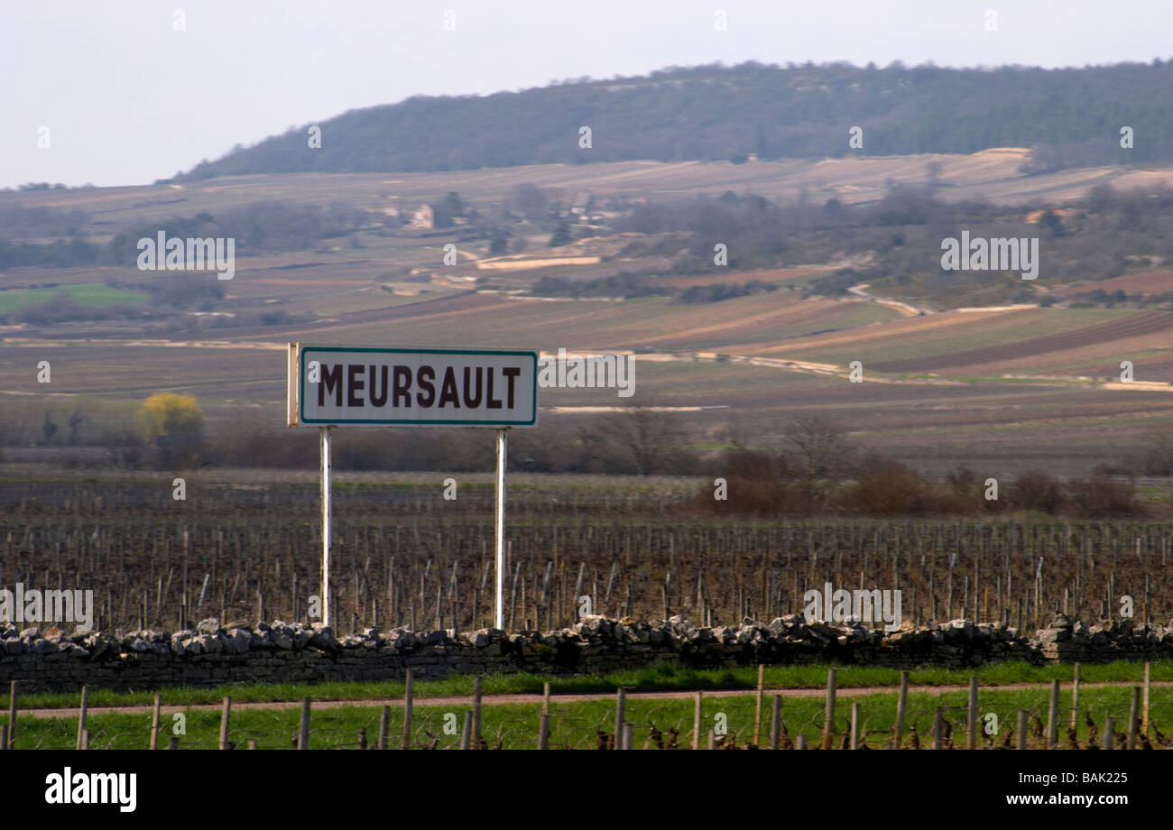 Meursault Vineyards High Resolution Stock Photography and Images - Alamy
