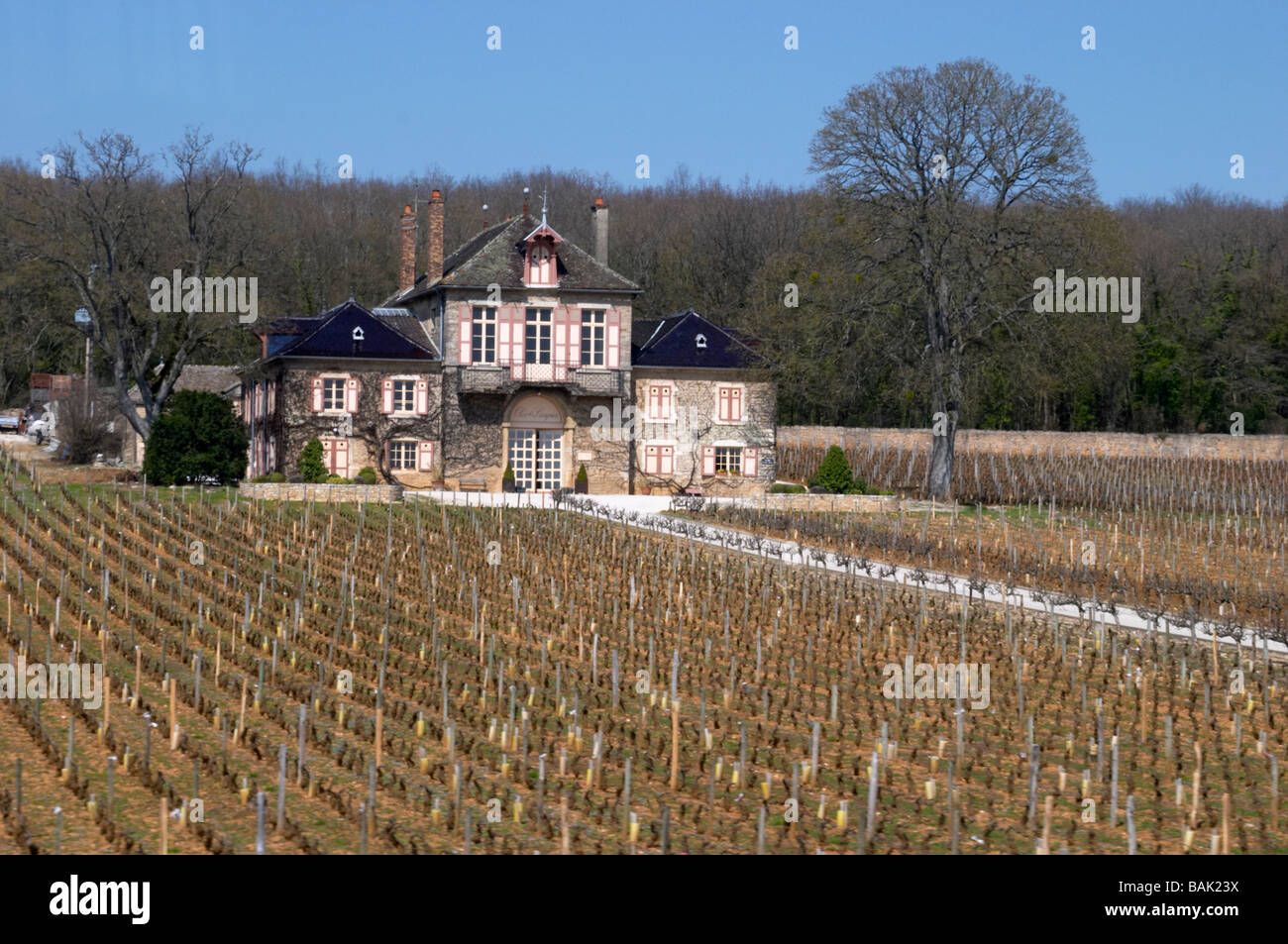 Nuits st georges vineyard hi-res stock photography and images - Alamy