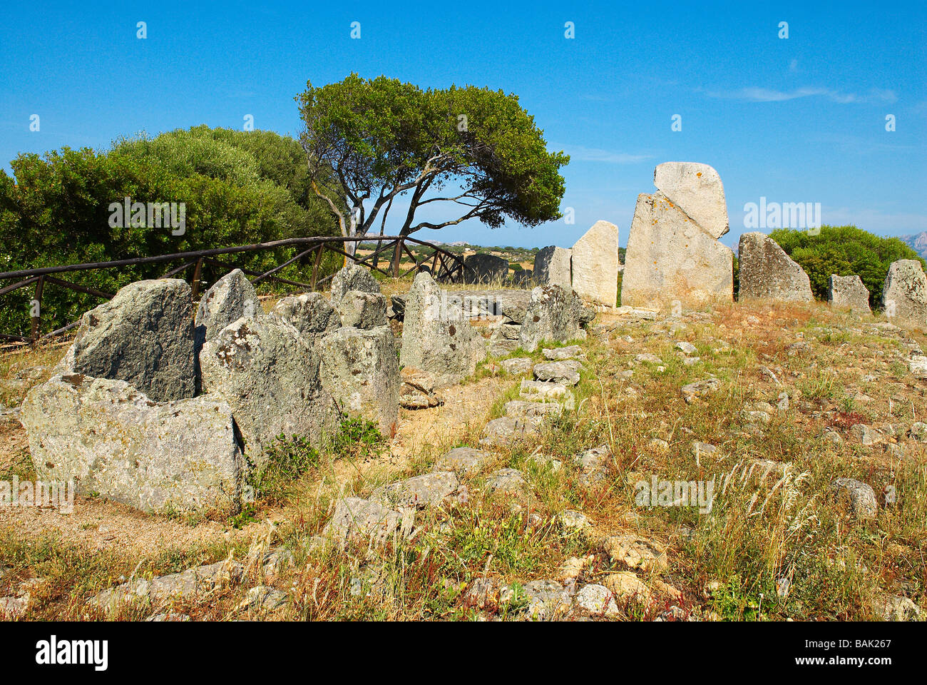 Italy, Sardinia, Olbia Tempio Province, around Tempio Pausania, Tomba ...