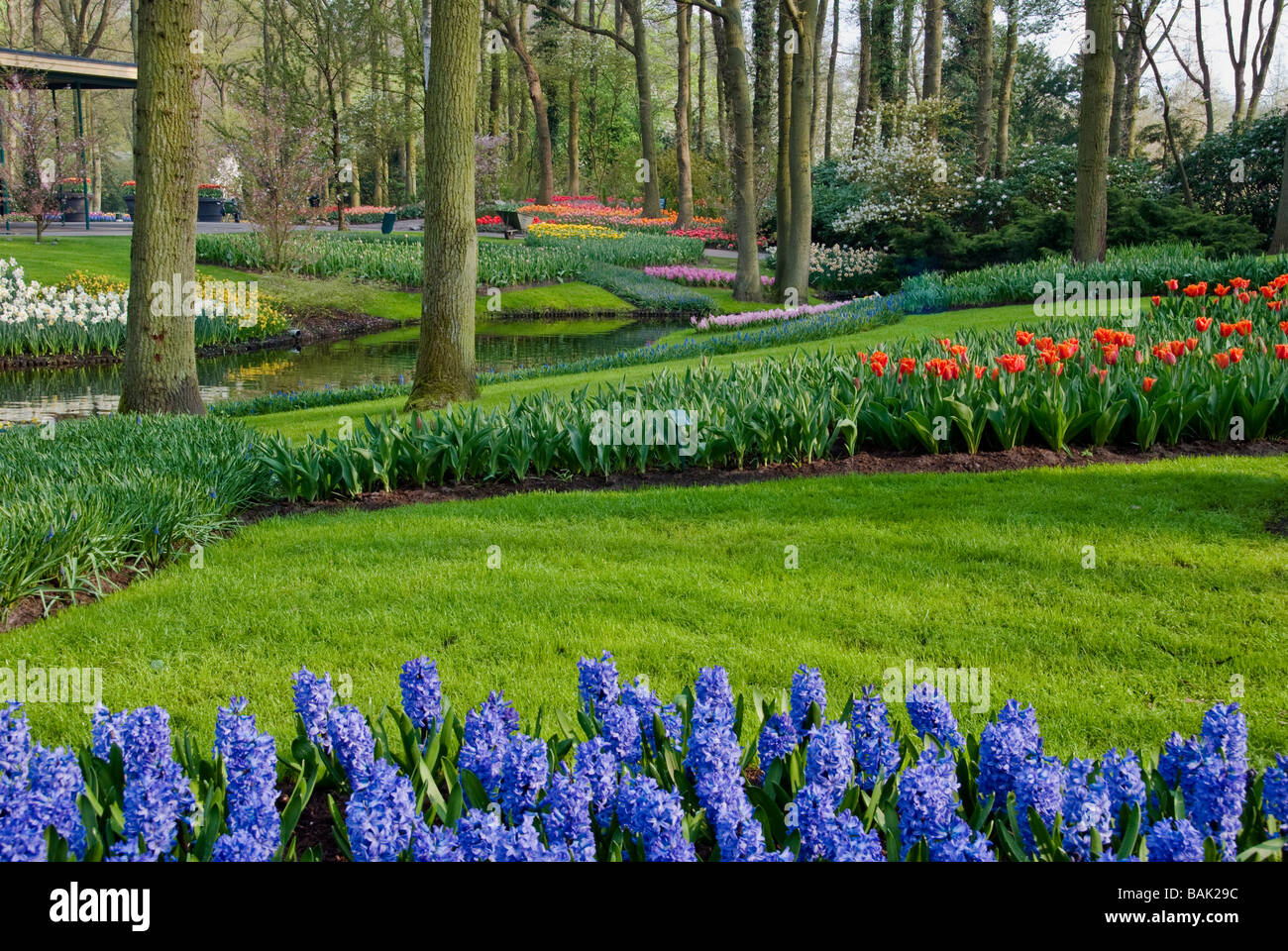 The Keukenhof Gardens in Lisse, The Netherlands is the world's largest ...