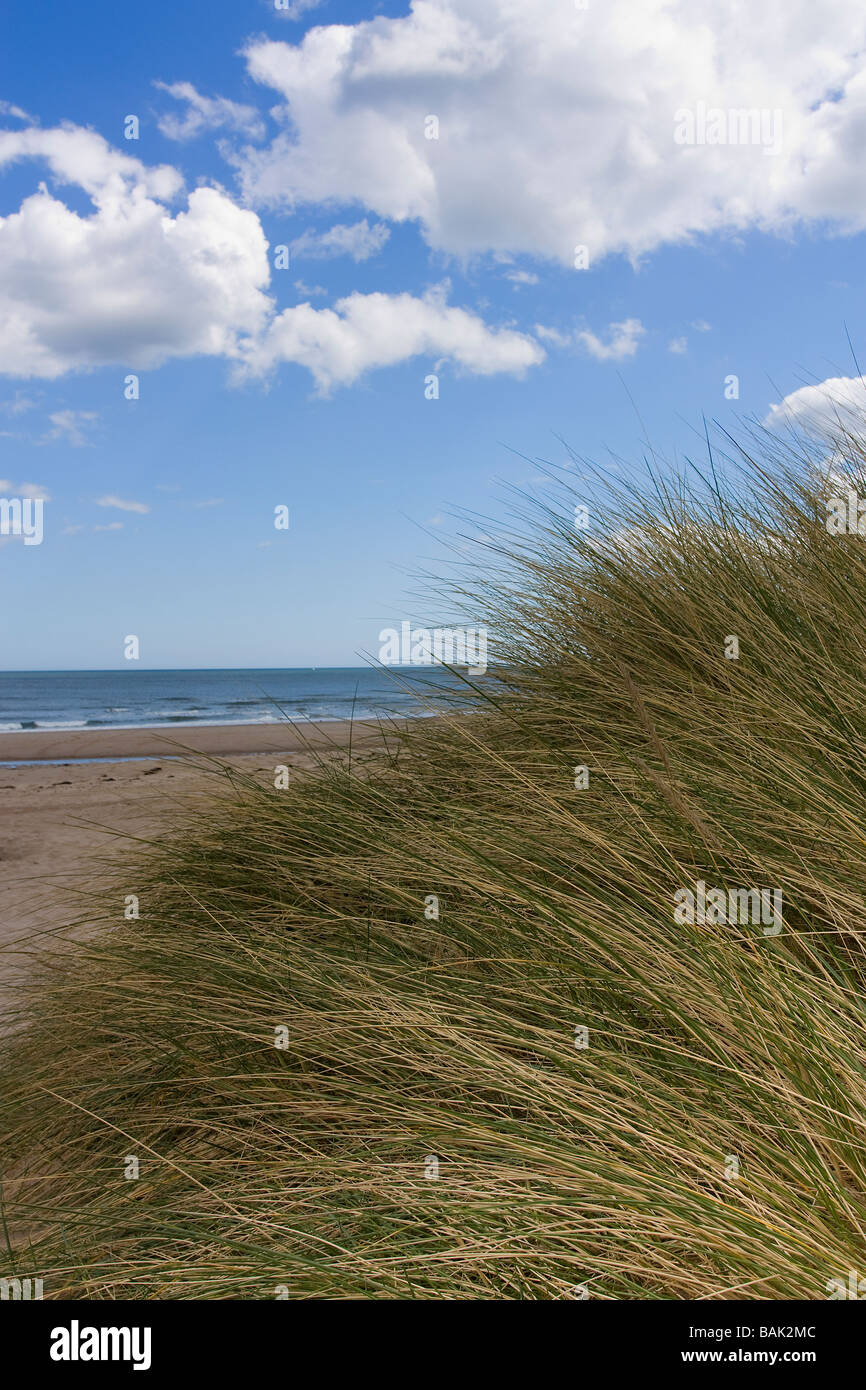 Cresswell beach hi-res stock photography and images - Alamy