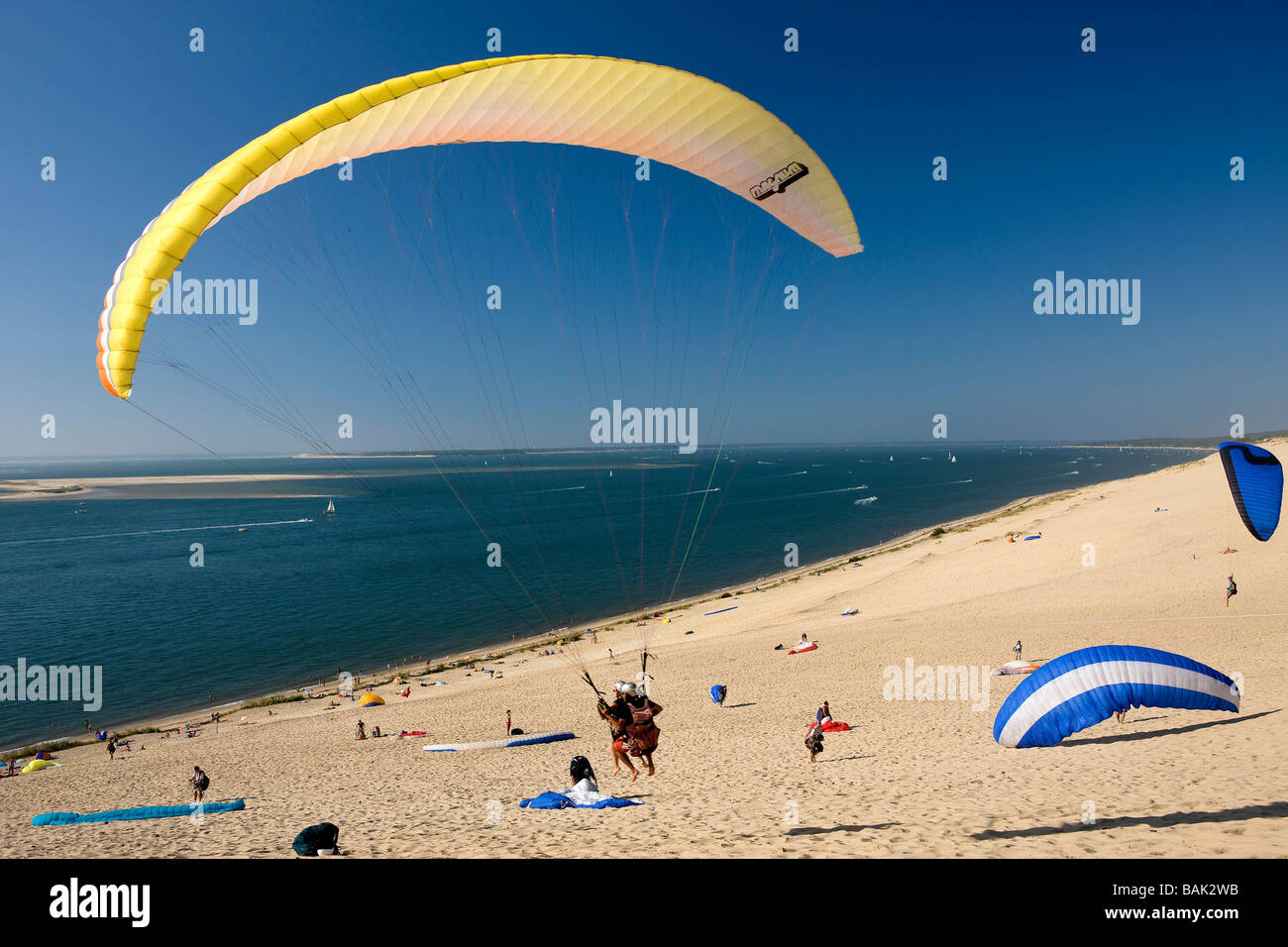 France, Gironde, dune du Pyla (the Great Dune of Pyla), the largest ...