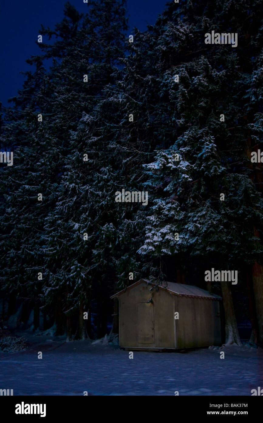 Shack in the woods at night Stock Photo - Alamy