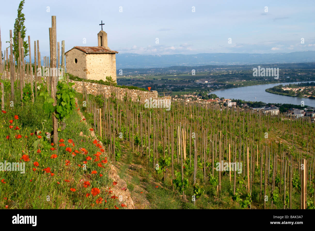 The la chapelle chapel vineyard hermitage rhone france Stock Photo - Alamy