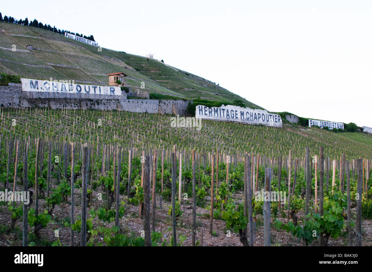 vineyard domaine m chapoutier hermitage rhone france Stock Photo - Alamy