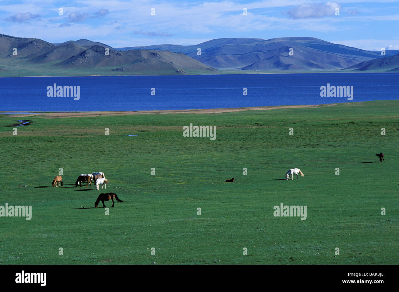 Mongolia, Arkhangai province, Khorgo (volcano region), Lake Terkhiin ...