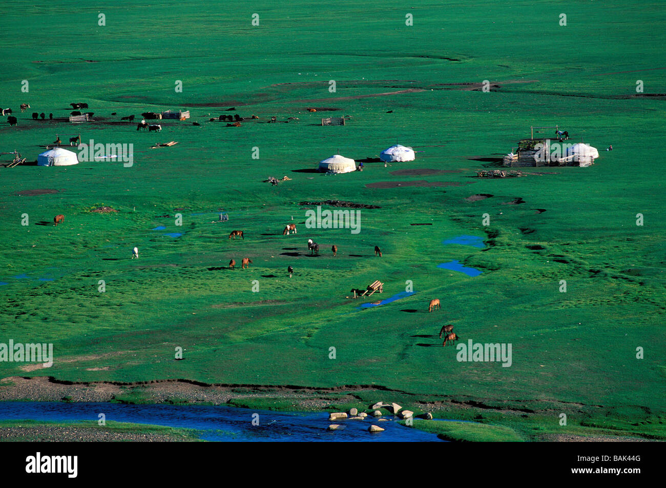 Mongolia, Arkhangai province, nomadic camp yurt Stock Photo - Alamy