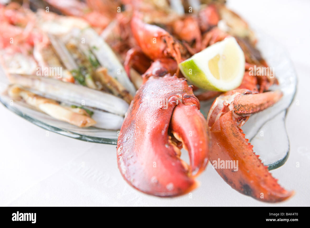 Shellfish plates hi-res stock photography and images - Alamy
