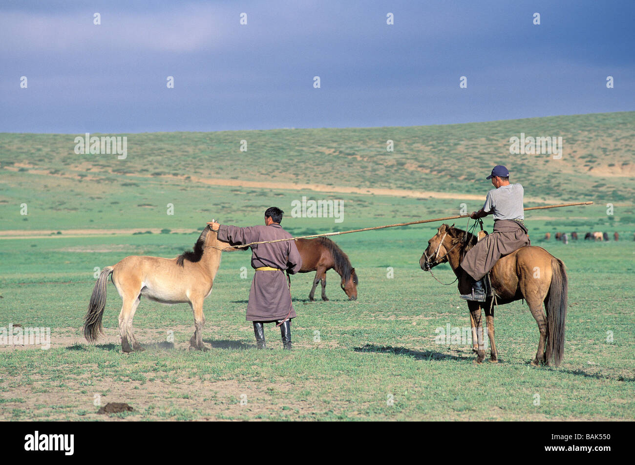 Tov hi-res stock photography and images - Alamy