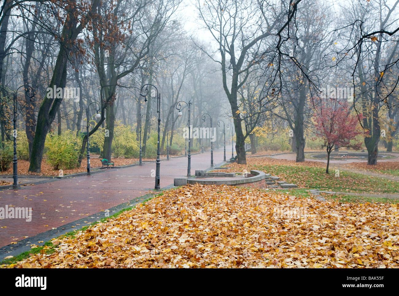 avenue in autumn dull city park Stock Photo - Alamy