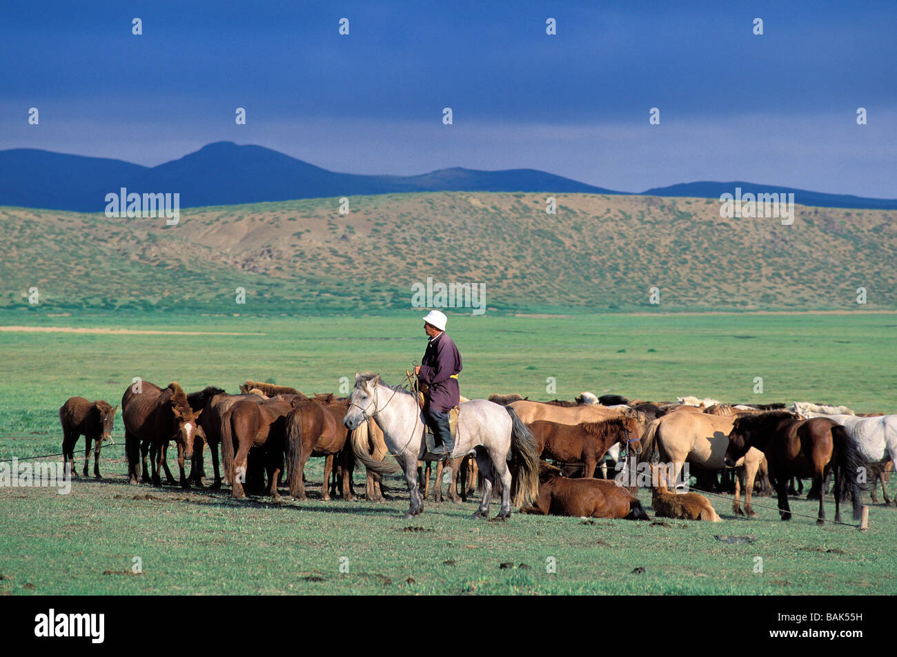 Mongolia tov province hi-res stock photography and images - Alamy