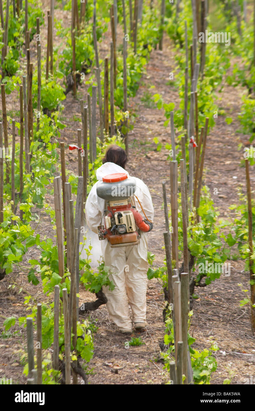 Spraying pesticide vineyard france hi-res stock photography and images ...