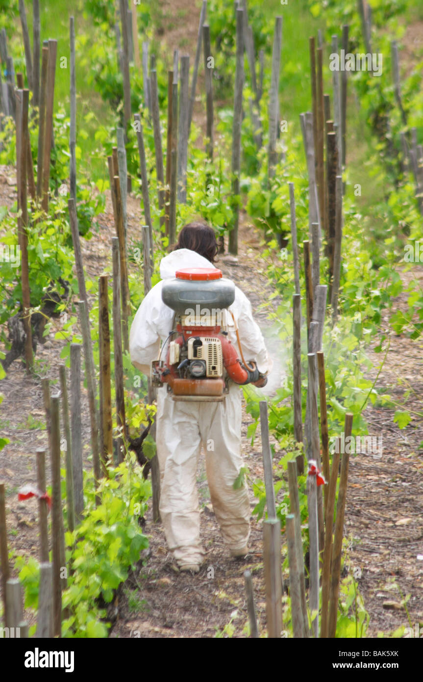 Spraying pesticide vineyard france hi-res stock photography and images - Alamy