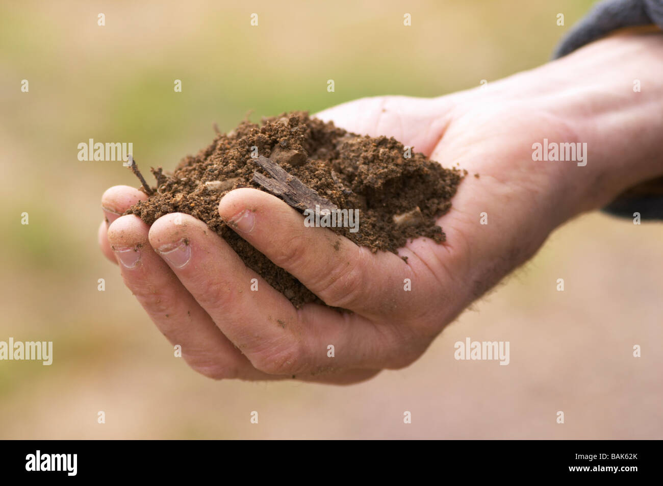 Clay soil hand hi-res stock photography and images - Alamy