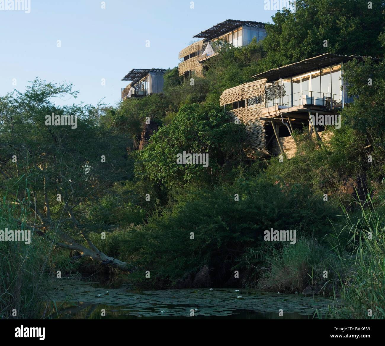 singita game lodge view of cabins from river Stock Photo - Alamy