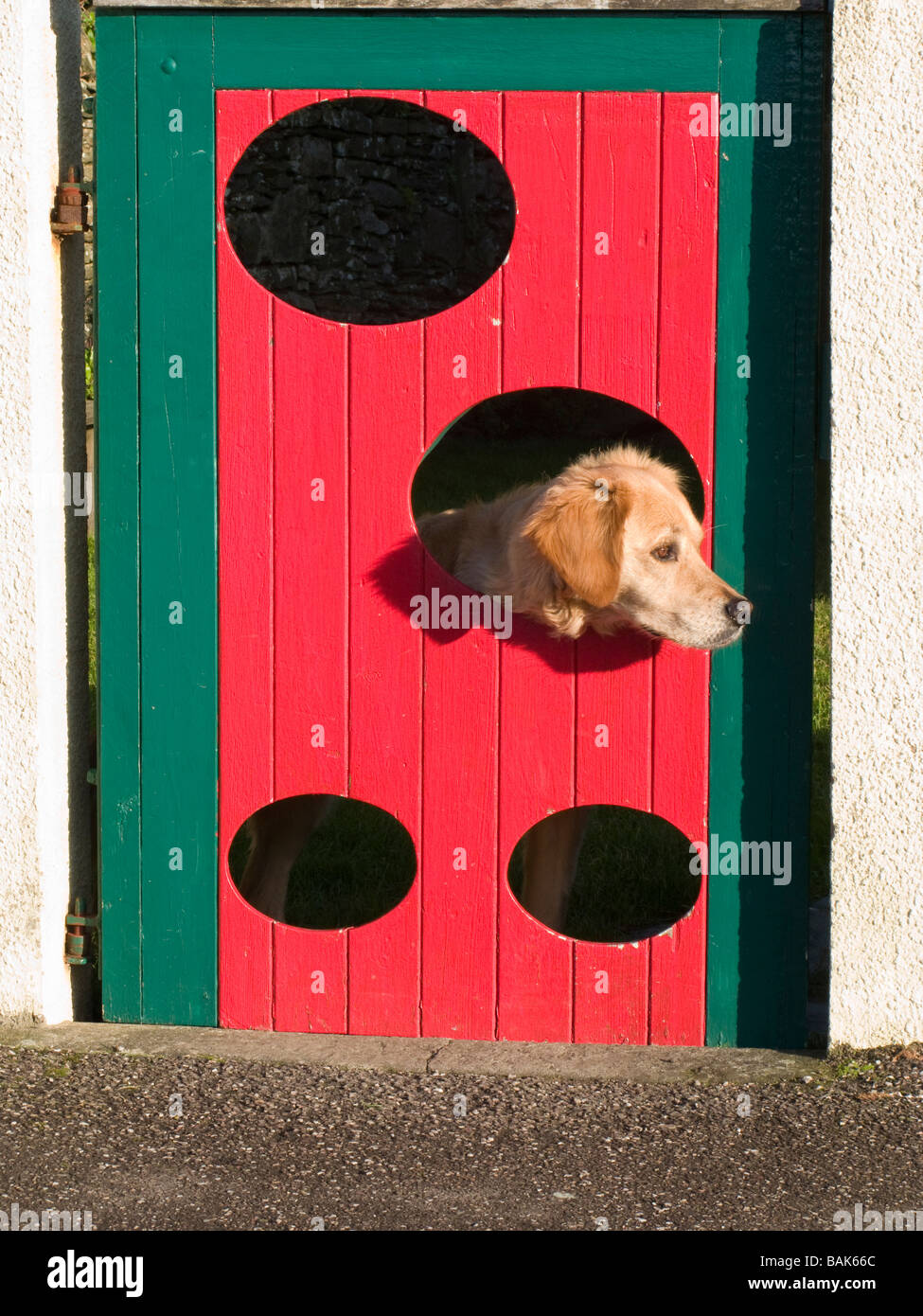 Holes in gate hi-res stock photography and images - Alamy