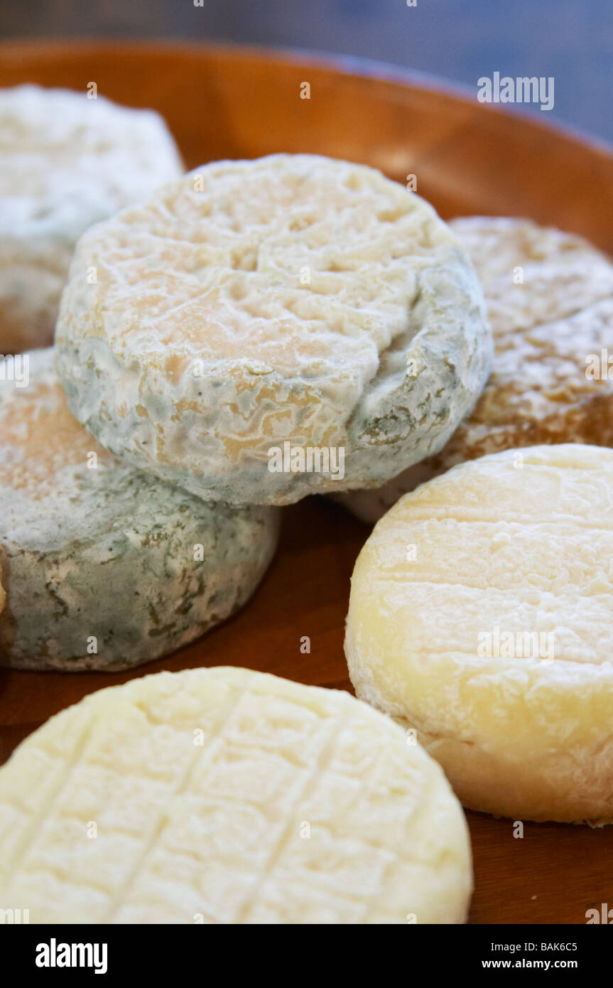 saint marcellin cheese of varying maturity dom a voge cornas rhone ...