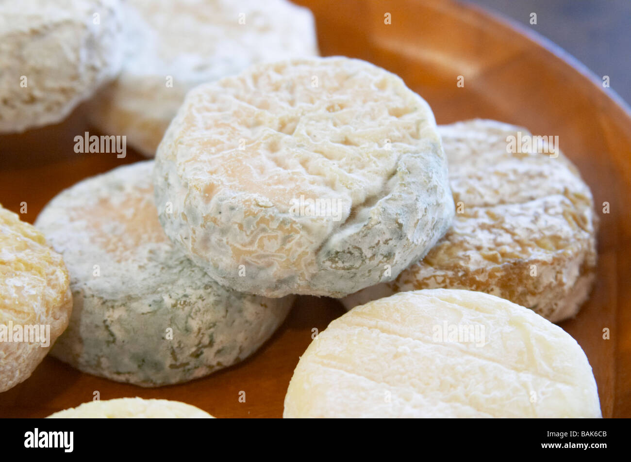 saint marcellin cheese of varying maturity dom a voge cornas rhone ...