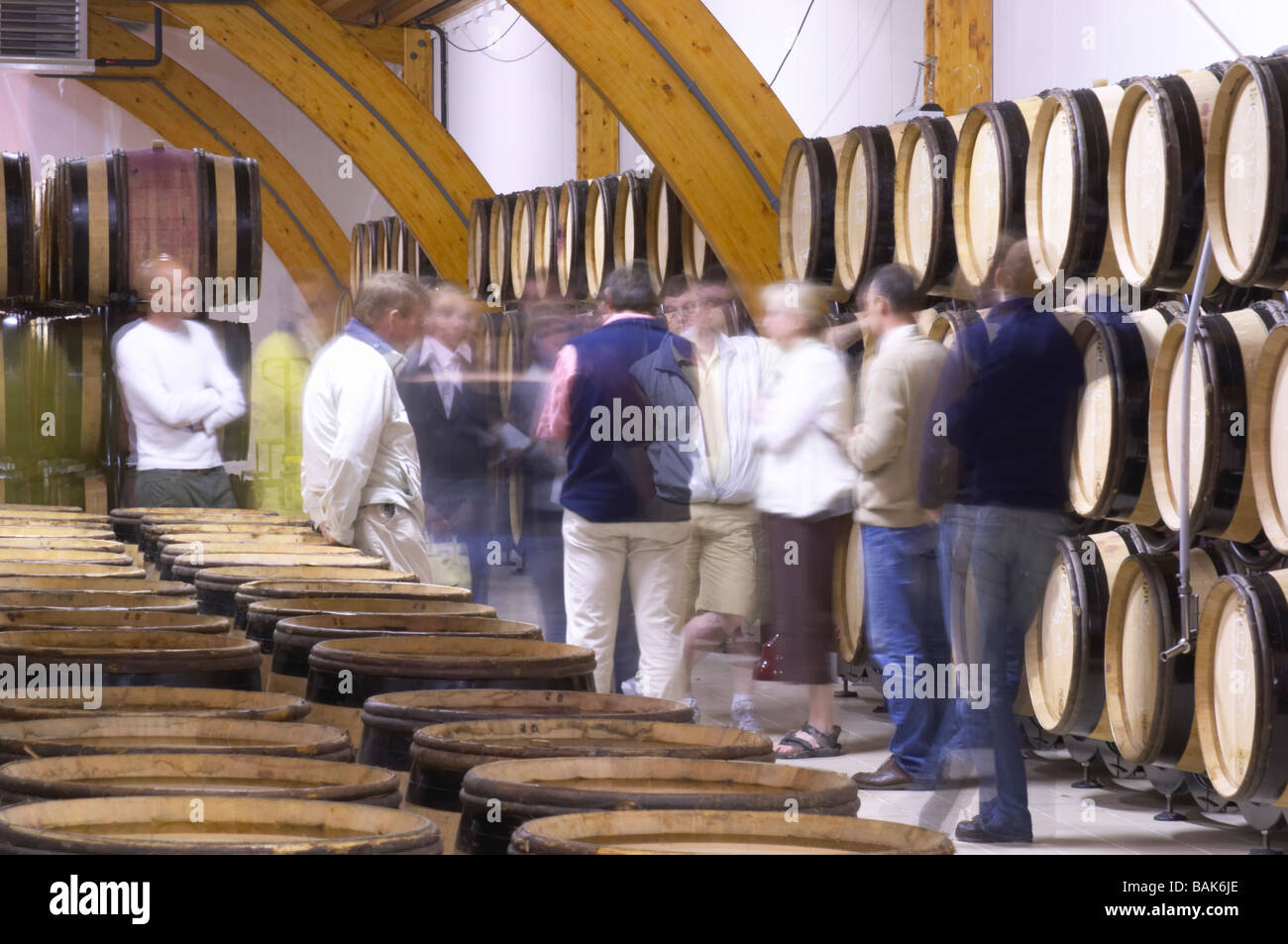 barrel aging cellar people delas freres tournon-s-r rhone france Stock ...