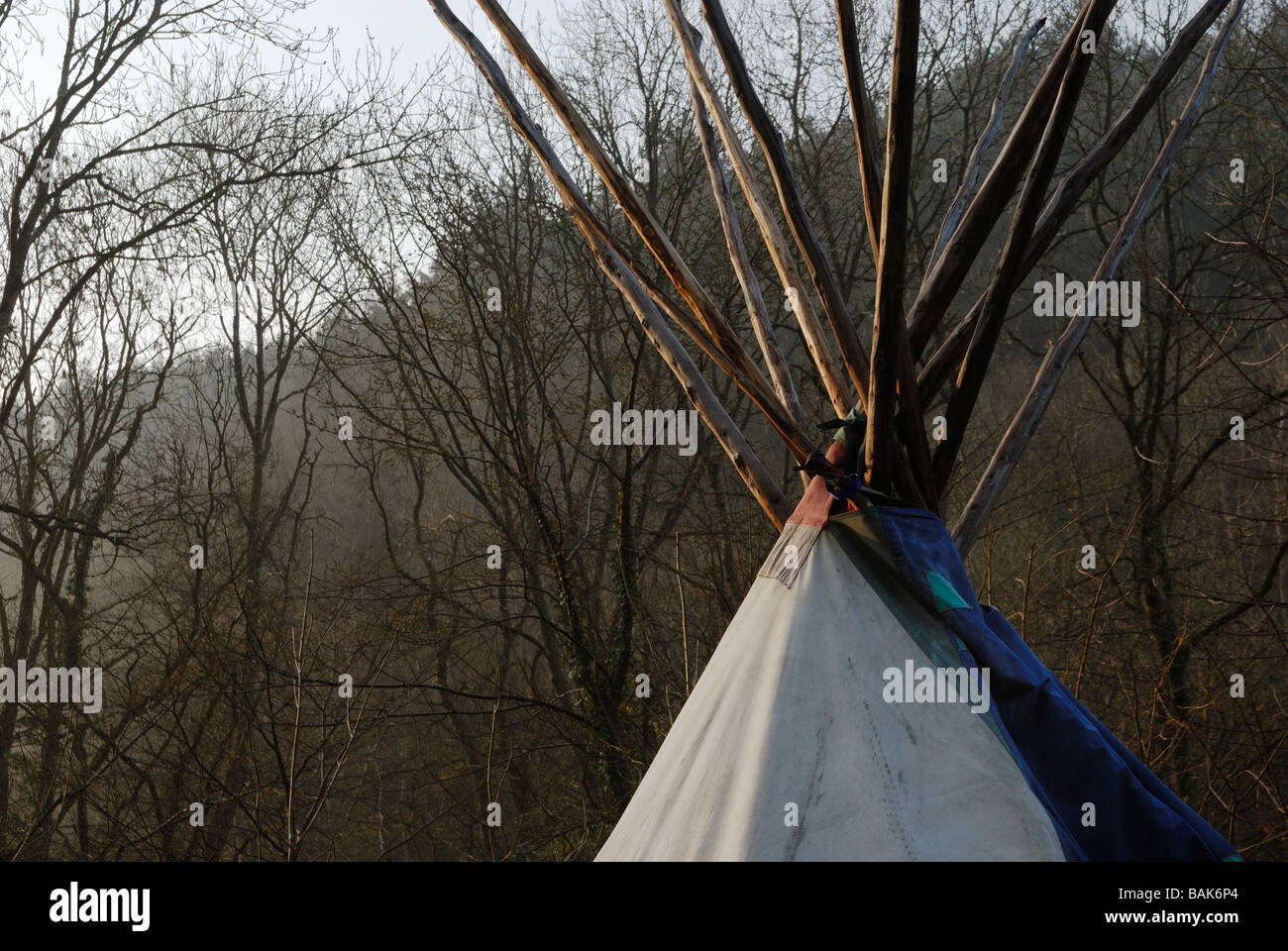 Tipi in woodland with the smokeflaps closed down against rain Stock ...