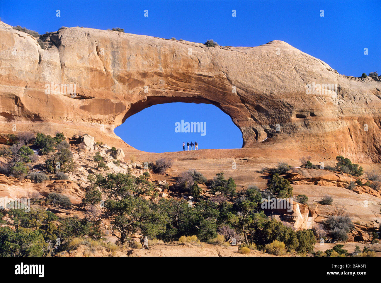 United States, Utah, near Moab, Arches National Park, Turret Arch Stock ...