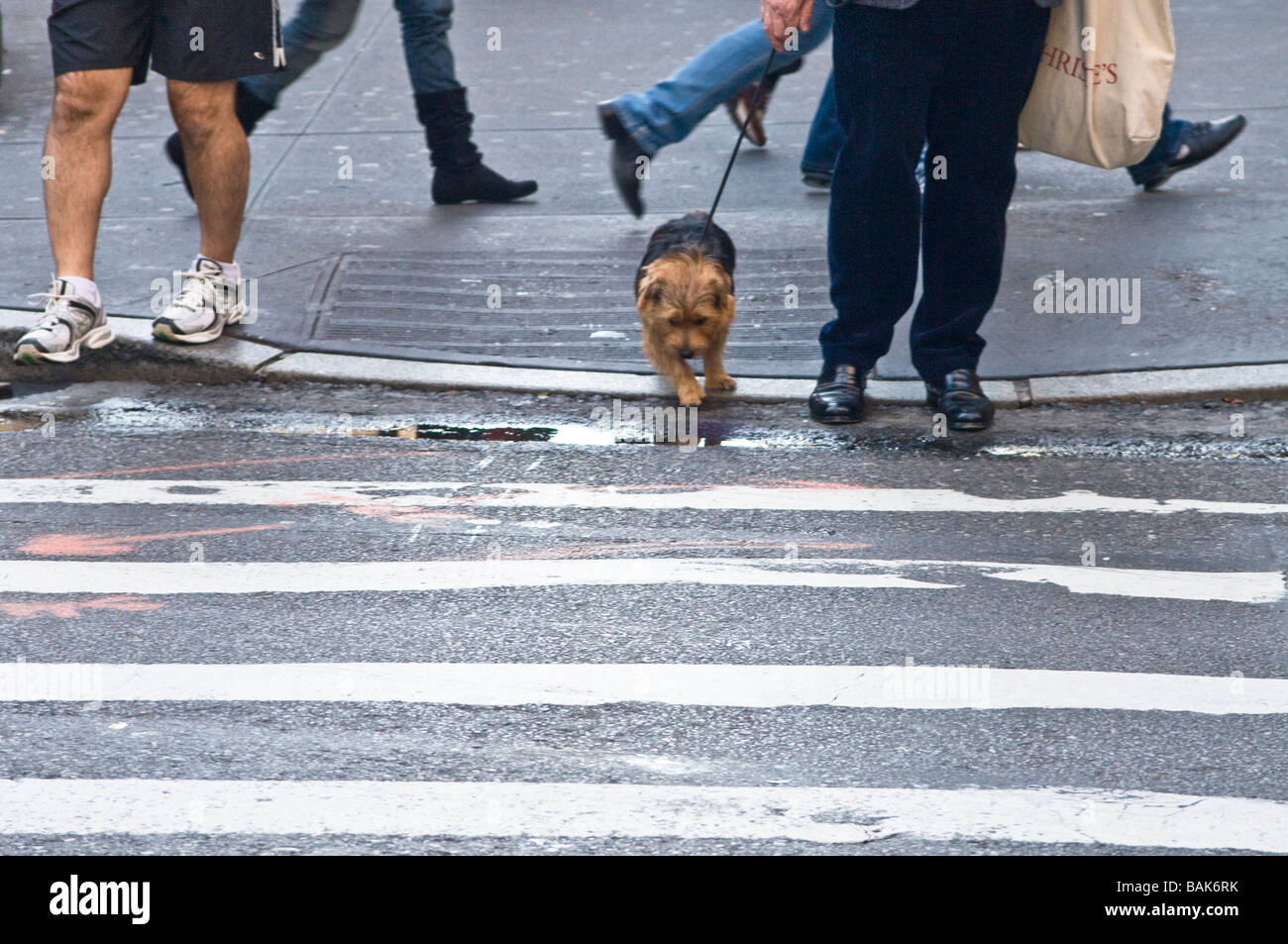 Carefree pedestrians hi-res stock photography and images - Alamy