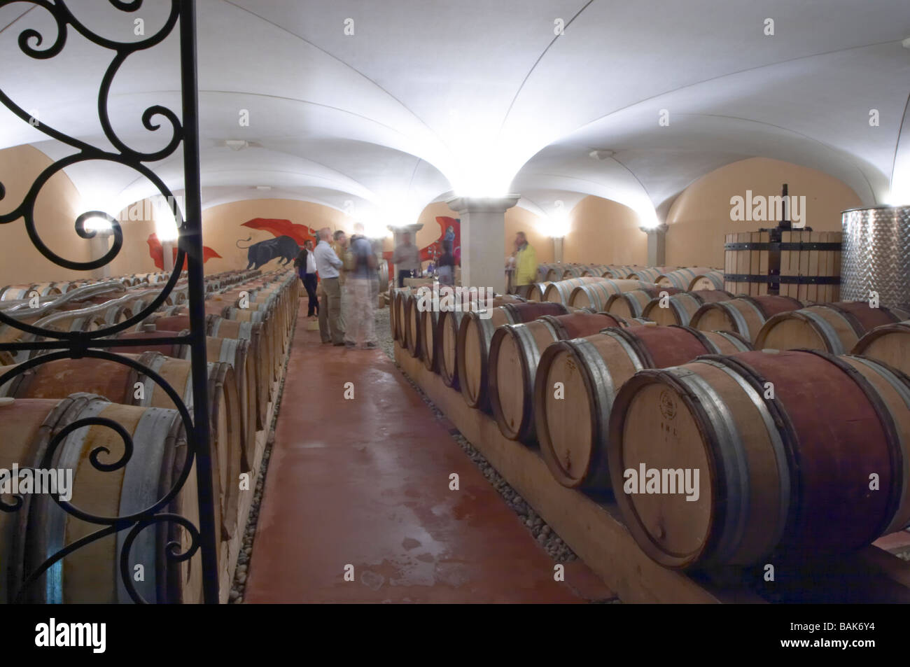 barrel aging cellar domaine gilles robin crozes hermitage rhone france ...