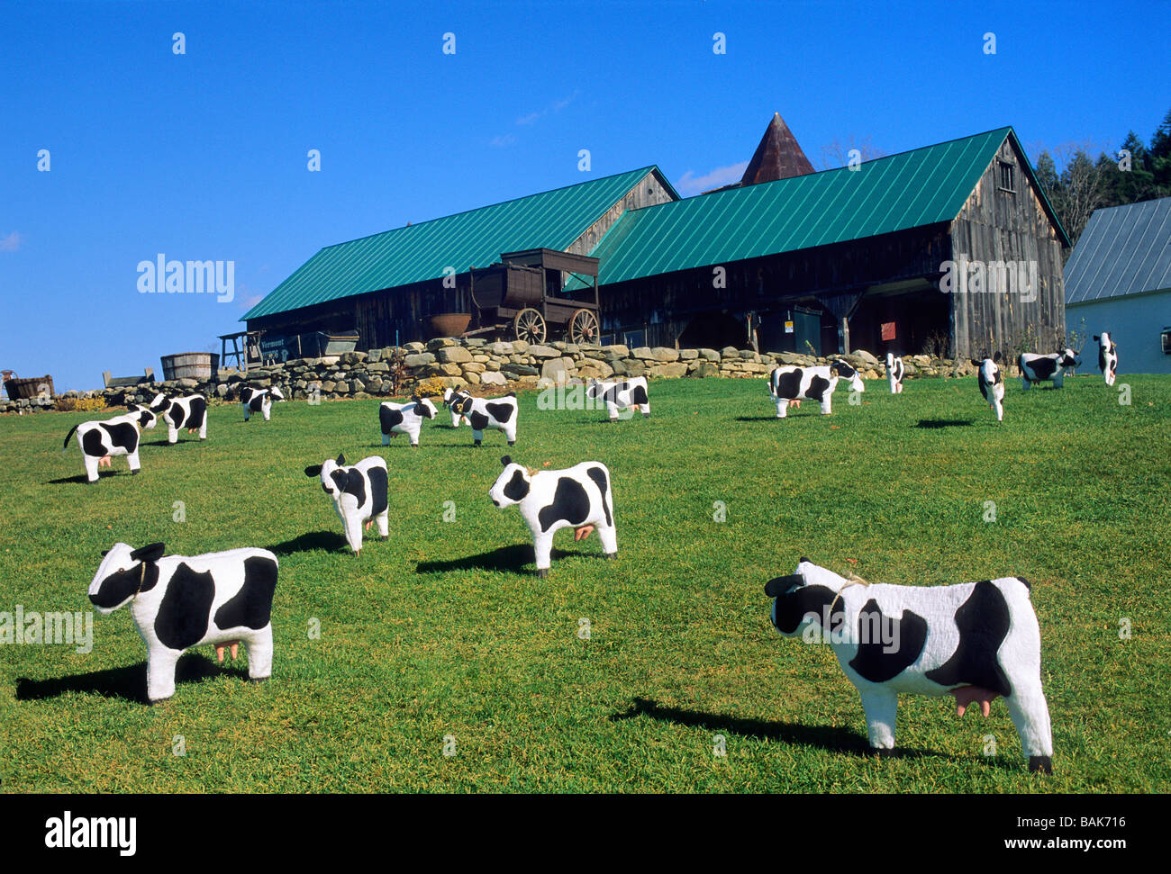 United States, Vermont, near Woodstock, exhibition of fake cows Stock ...