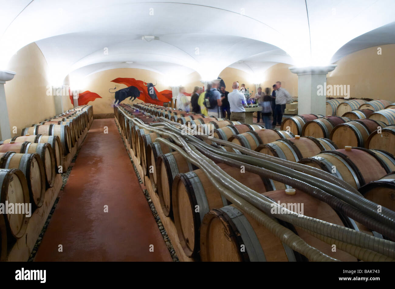 barrel aging cellar dom g robin crozes hermitage rhone france Stock ...