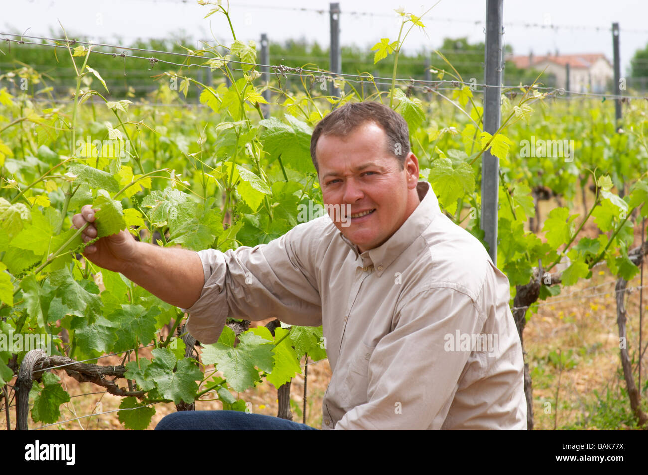 Domaine gilles robin hi-res stock photography and images - Alamy
