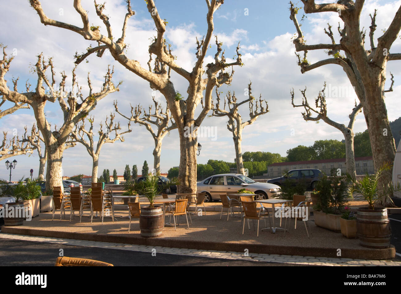 plane trees along the river tain l hermitage rhone france Stock Photo ...