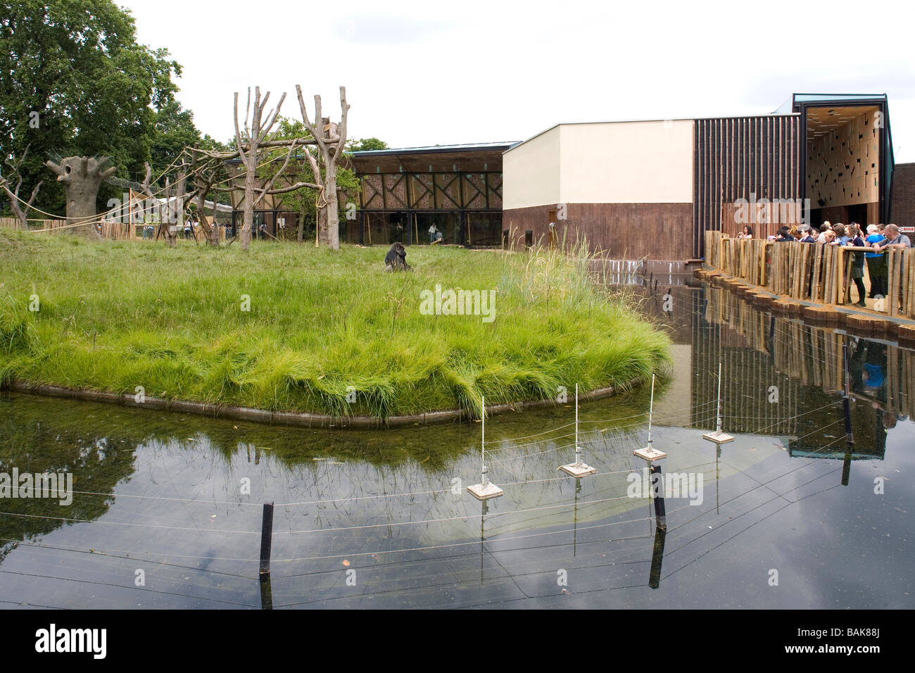 gorilla kingdom moat with pavilion behind Stock Photo - Alamy