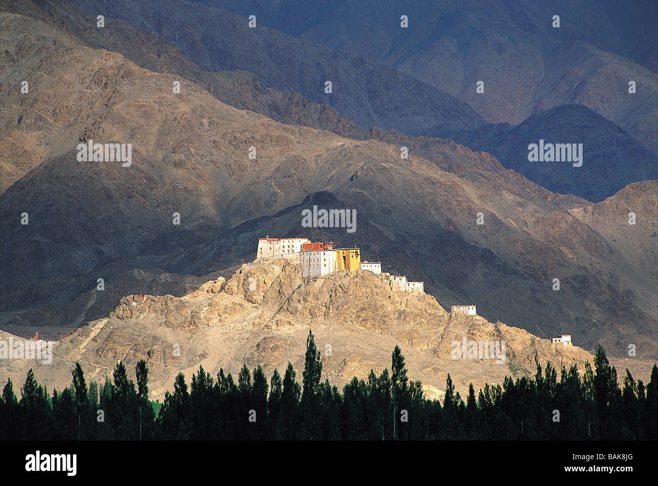 India, Jammu and Kashmir, Ladakh Himalaya, Indus valley, Tikse Gompa ...