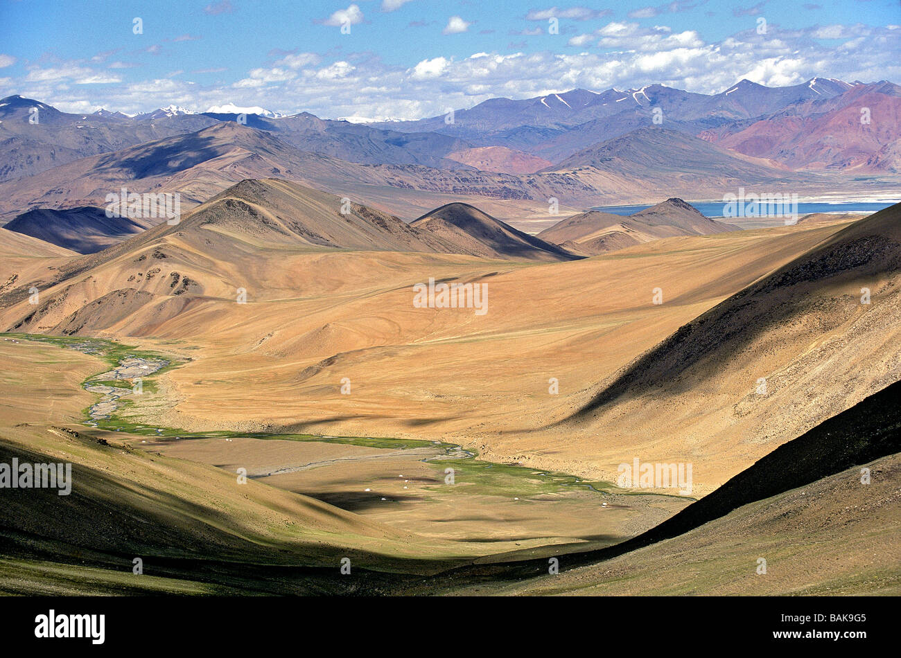 India, Jammu and Kashmir, Ladakh, Changtang Plateau, on top of Horlam ...