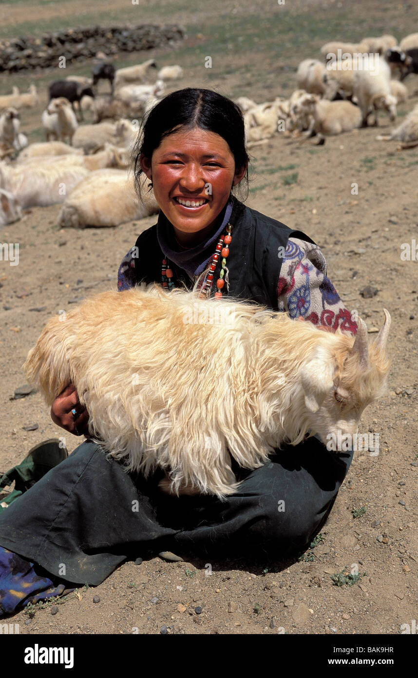 India, Jammu and Kashmir, Ladakh, Changtang Plateau, Rachun Karu (4700 ...