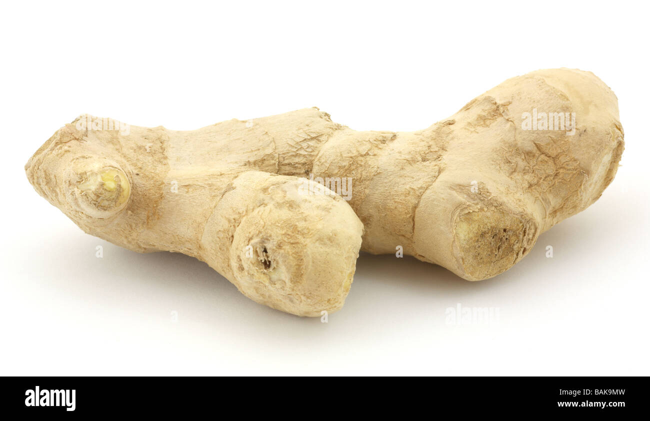 Ginger plant root Cut Out Stock Images & Pictures - Alamy