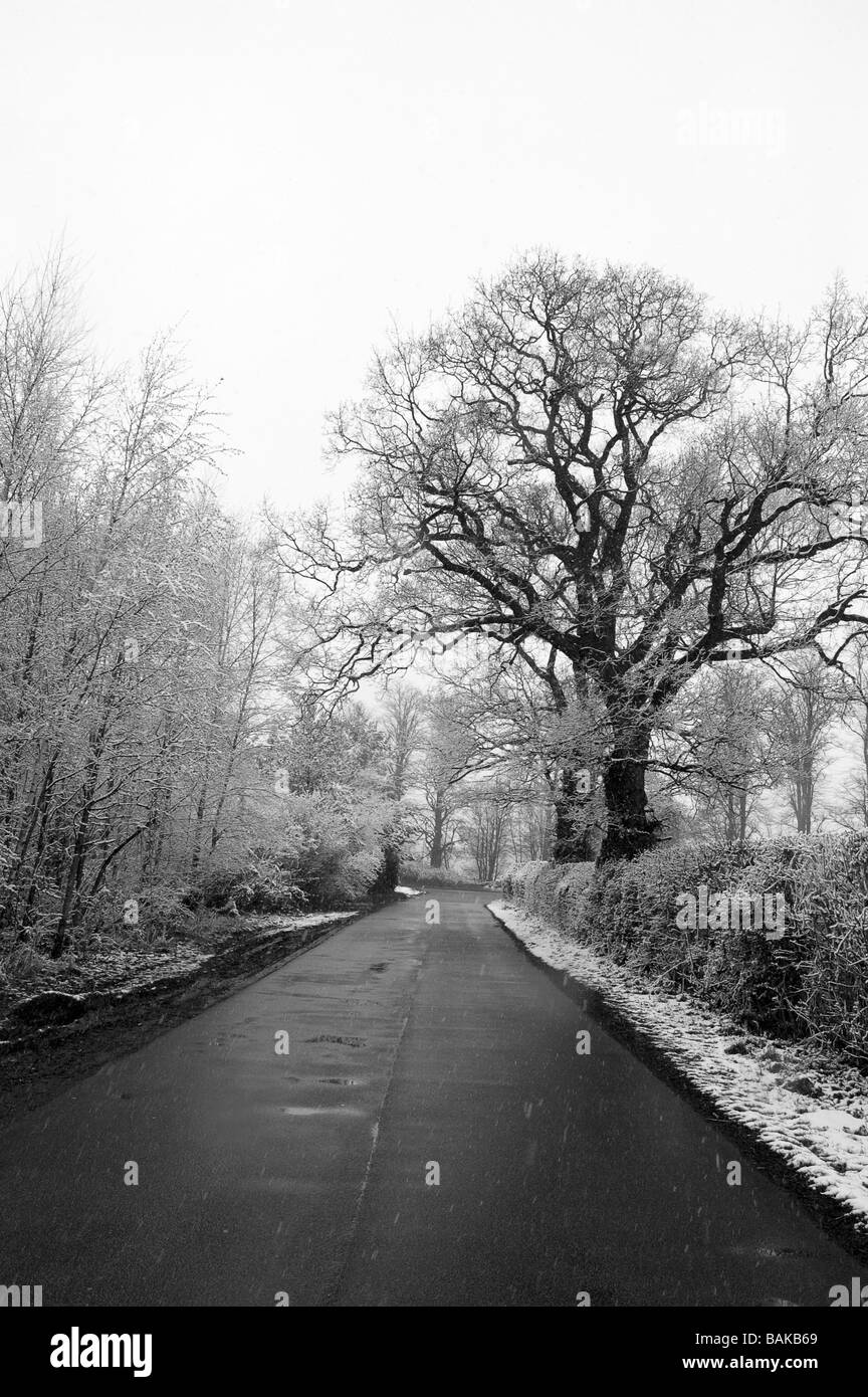 Country lane sky Black and White Stock Photos & Images - Alamy