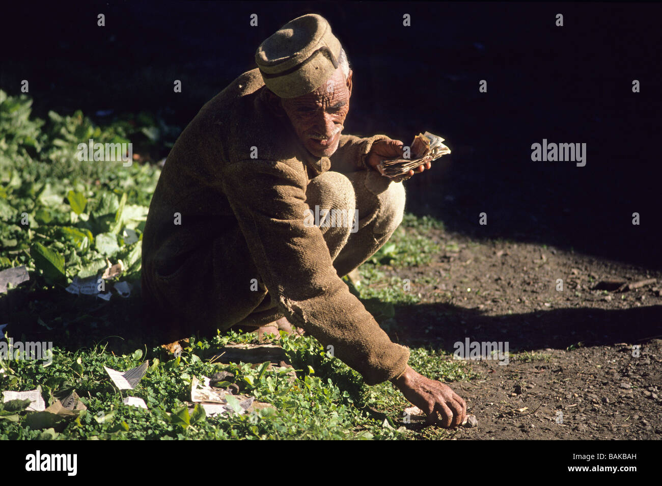 The harchar hi-res stock photography and images - Alamy