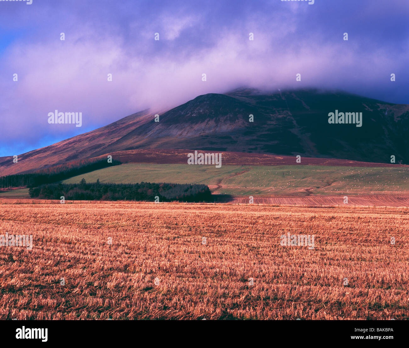 Lanarkshire scotland hi-res stock photography and images - Alamy