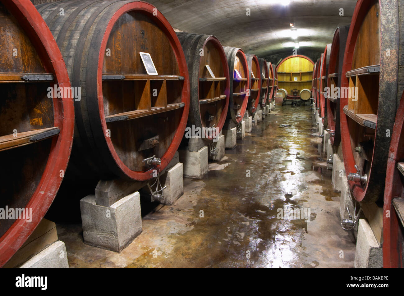 wooden vats domaine du grand tinel chateauneuf du pape rhone france ...