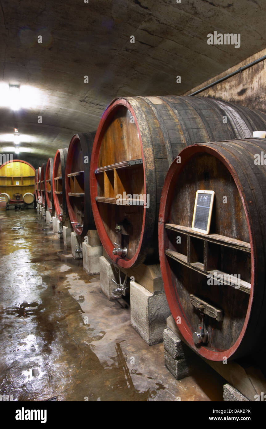 wooden vats domaine du grand tinel chateauneuf du pape rhone france ...
