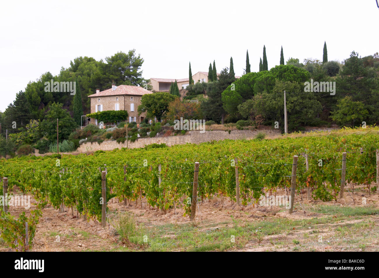 vineyard domaine de longue toque gigondas rhone france Stock Photo - Alamy