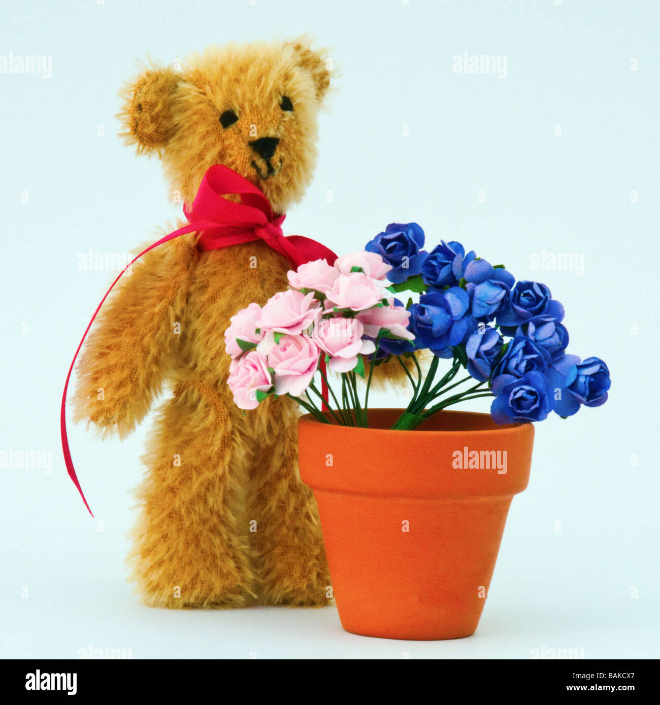 Miniature teddy bear and potted flowers (Mini Bear Collection Stock ...