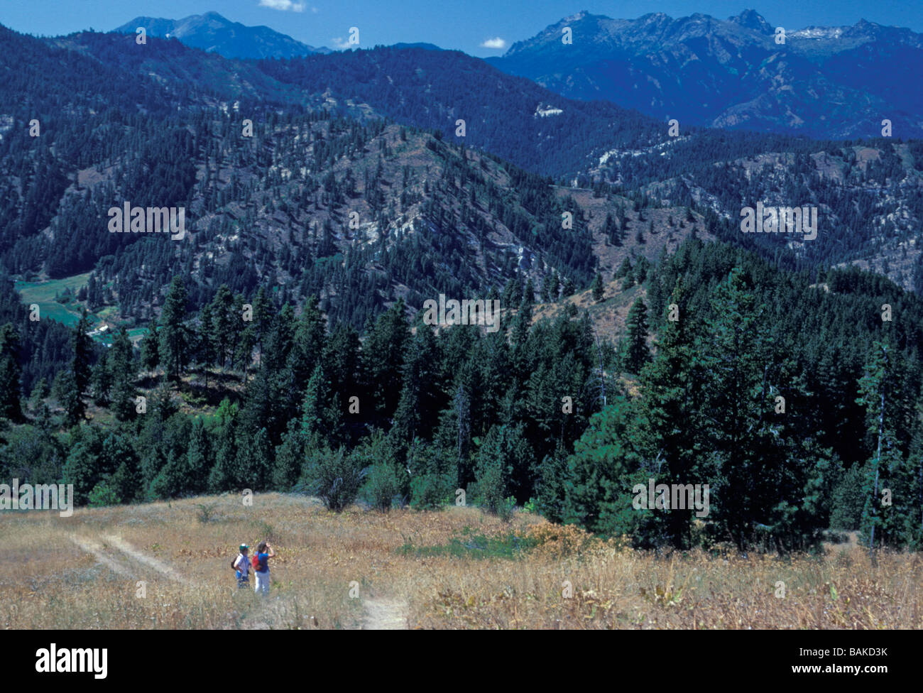 hikers in Wenatchee National Forest Stock Photo - Alamy