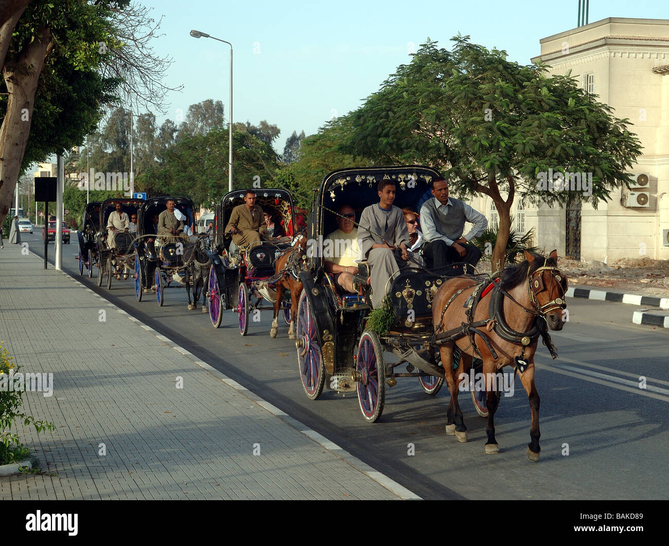 Caleche Egypt High Resolution Stock Photography and Images - Alamy