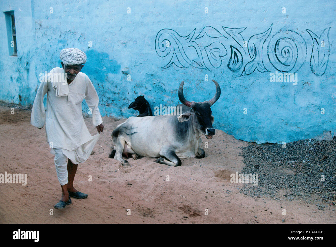 Man with cow hi-res stock photography and images - Alamy
