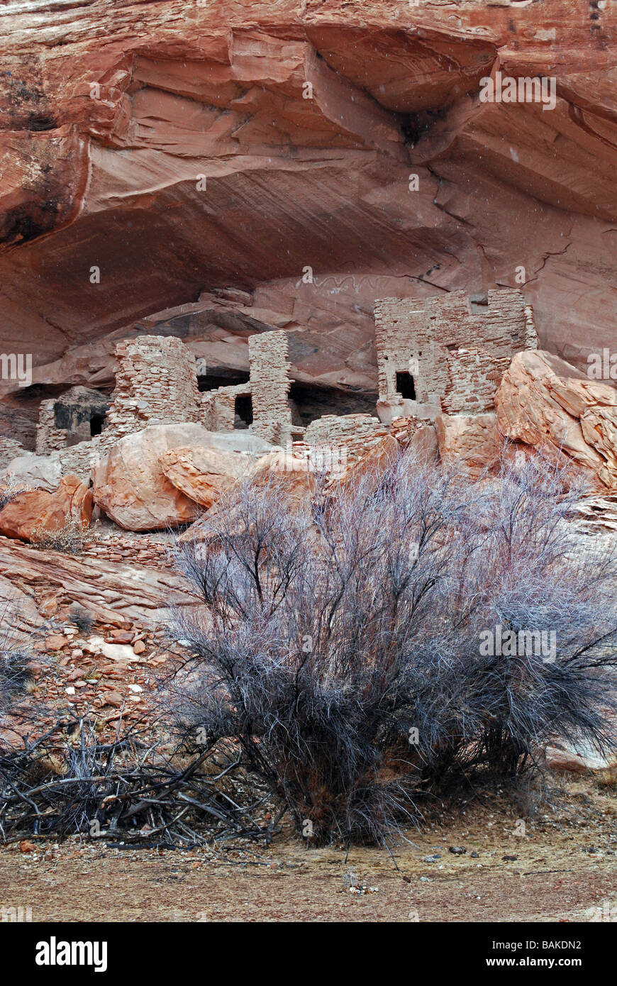 Ancestral Puebloan cliff dwelling, Lower Butler Wash, Utah Stock Photo ...