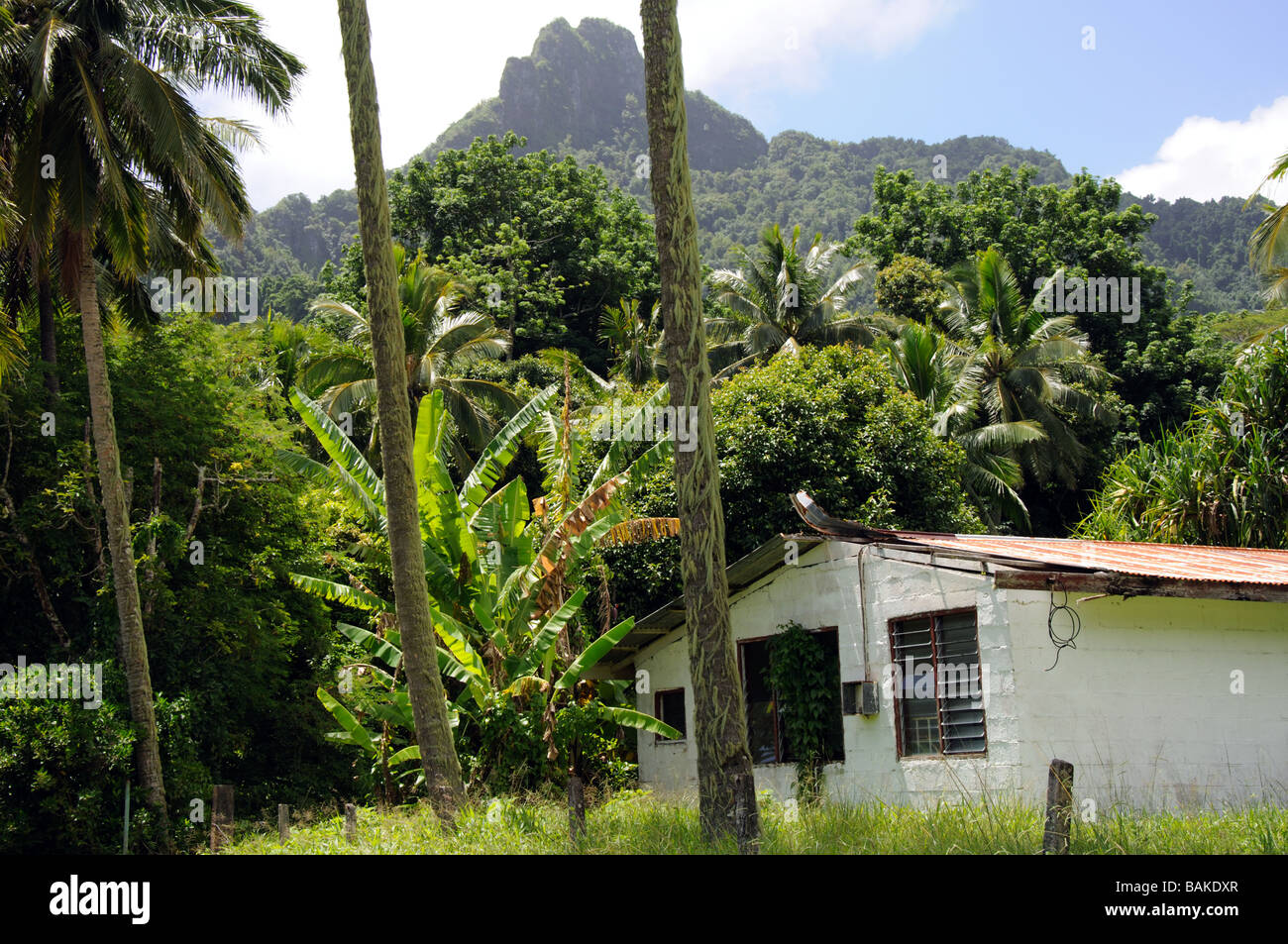 Old shack in jungle hi-res stock photography and images - Alamy